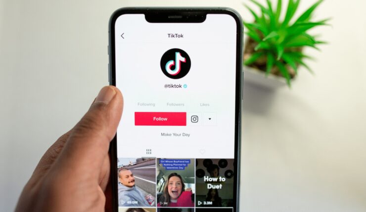 How to Make Your TikTok Profile Stand Out: 5 Easy Tips - Green Business ...